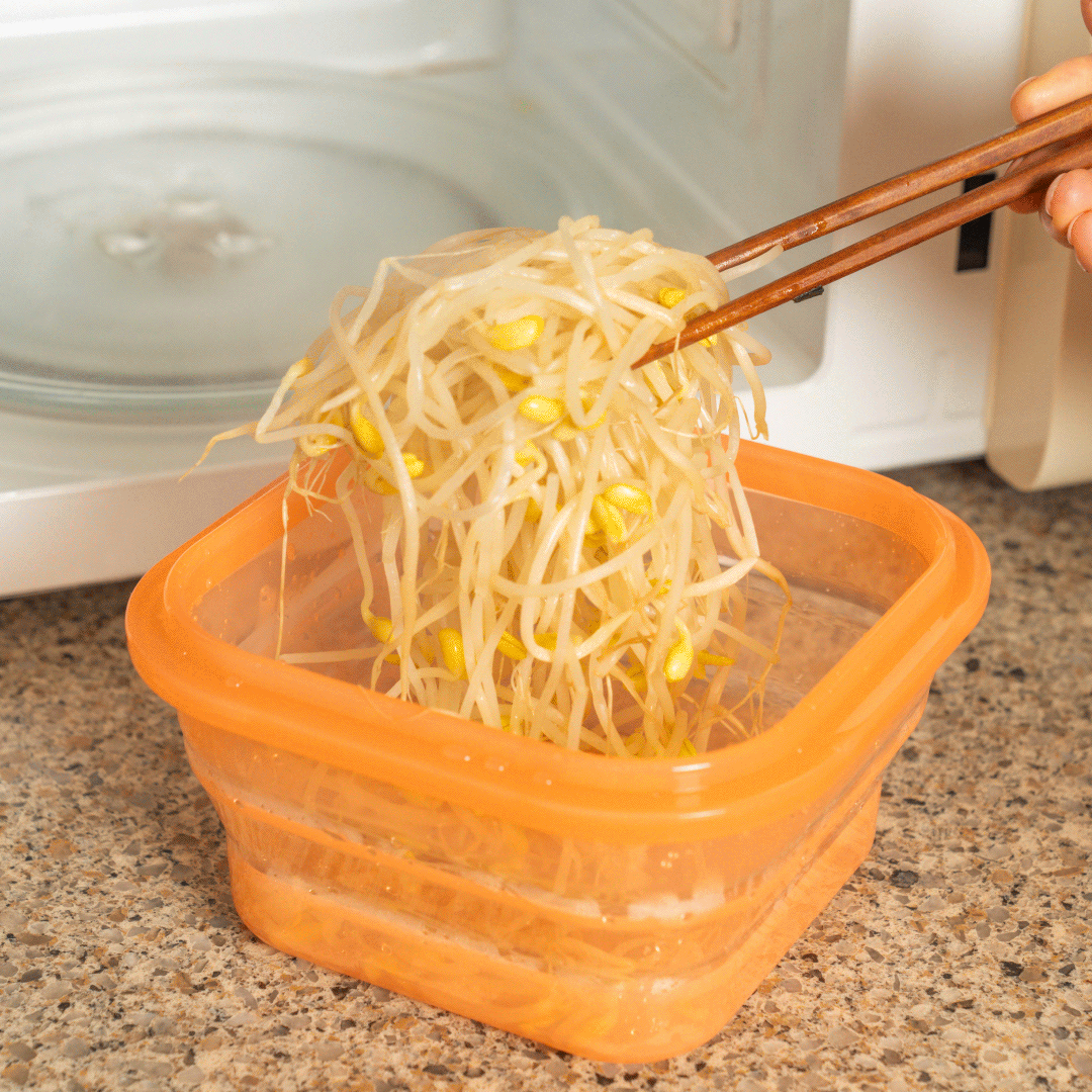 PUSH LOCK: Reusable Silicone Container vivid – LIVING CREATOR JP